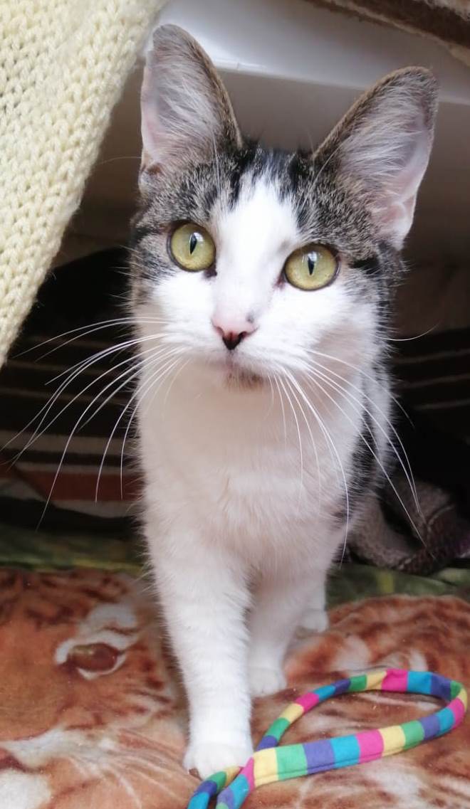 Follow us on Twitter